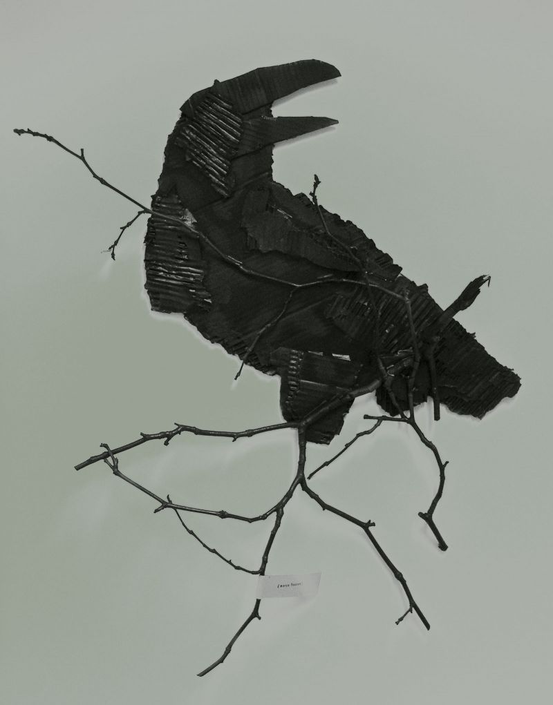 Marco Faasen is an image-designer living in Rotterdam, The Netherlands